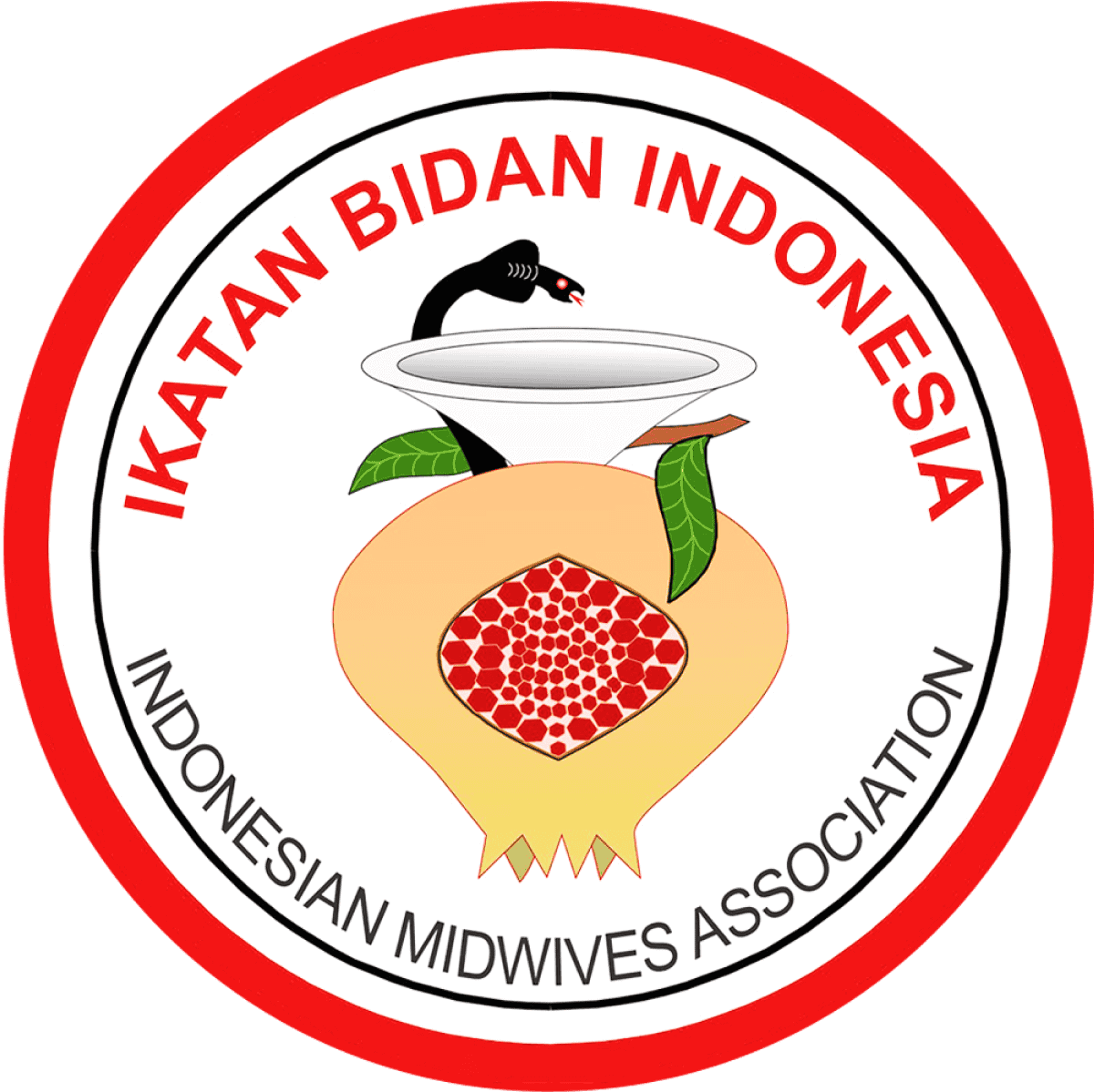 Ikatan Bidan Cabang Palembang - Profesional, Melayani, Transparan